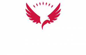 Welcome to Iron Eagle Industries – Home of Iron Eagle Fences